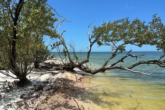Beach and Shelling Excursion - Public - Discovering the Beach and Shelling Excursion in Naples: An Authentic Florida Adventure