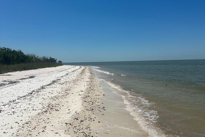 Beach and Shelling Excursion - Public - Final Thoughts
