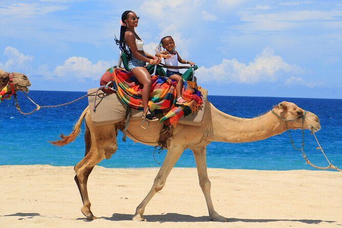 Beach ATV & Camel Ride COMBO in Cabo by Cactus Tours Park - Key Points