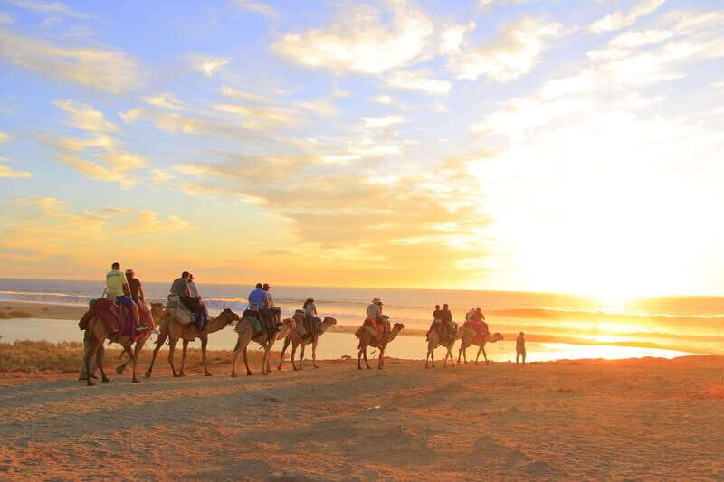 Beach ATV & Camel Ride COMBO in Cabo by Cactus Tours Park - An Authentic Mix of Adventure and Relaxation