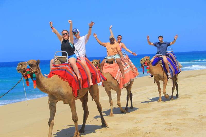 Beach ATV & Camel Ride COMBO in Cabo by Cactus Tours Park - The Itinerary: What to Expect