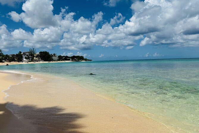 Beach BodyPump Workout in Barbados Train with a Certified Coach - The Value Proposition: Is It Worth the Price?