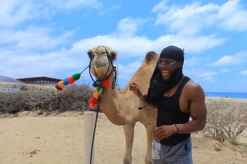 Beach Camel Ride & Encounter in Cabo by Cactus tours park - Who Would Love This Tour?