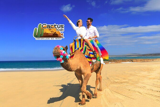 Beach Camel Ride & Encounter in Cabo - The Experience You Can Expect