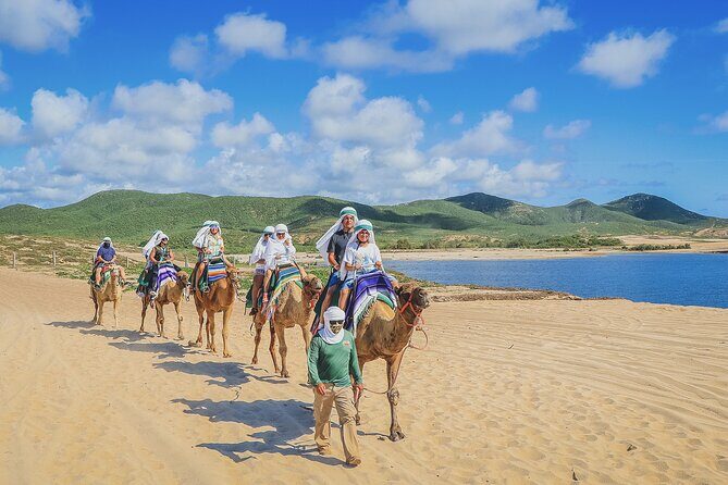 Beach Camel Ride & Encounter in Cabo - Final Thoughts