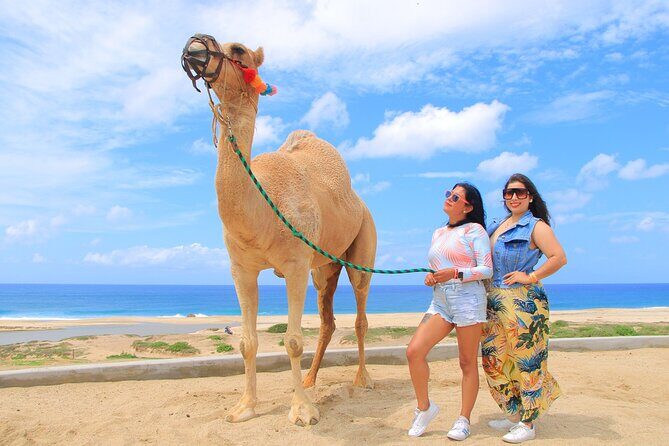 Beach CAN-AM SXS X3 & Camel Ride in Cabo by Cactus Tours Park - Who Will Enjoy This Most?