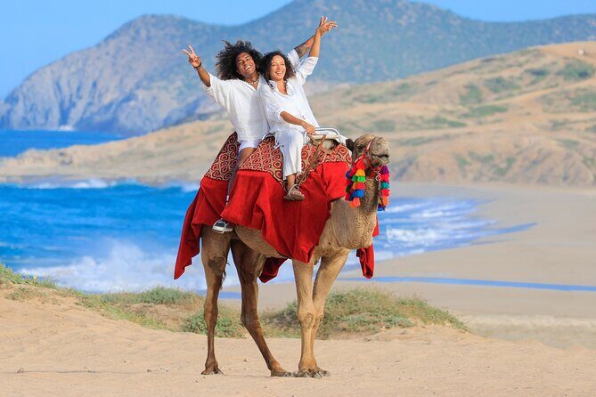 Beach CAN-AM SXS X3 & Camel Ride in Cabo by Cactus Tours Park - FAQs