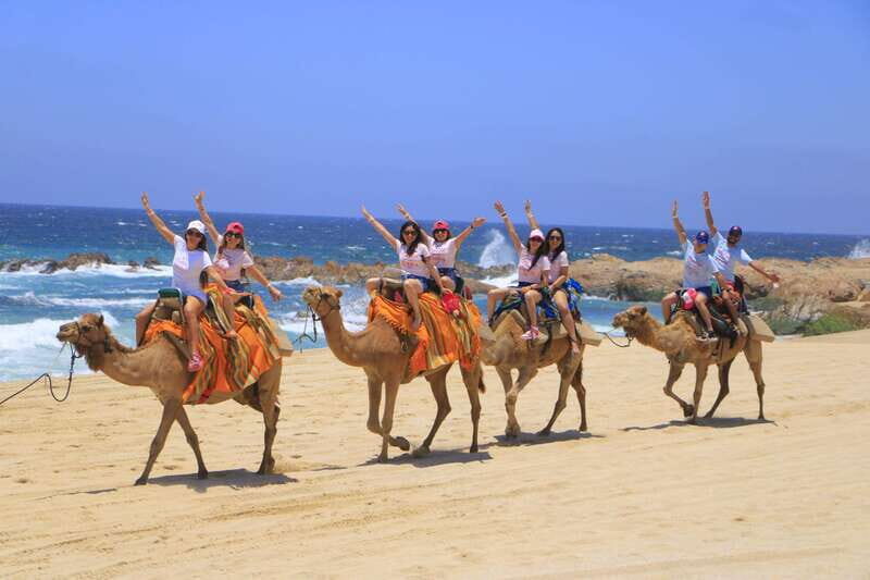 Beach CAN-AM SXS X3 & Camel Ride in Cabo by Cactus Tours - An Adventure in the Heart of Baja California Sur