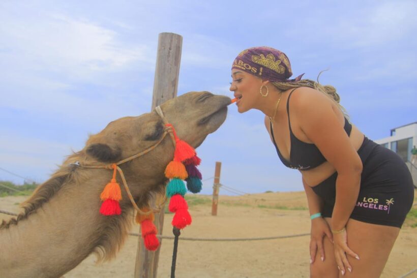 Beach CAN-AM SXS X3 & Camel Ride in Cabo by Cactus Tours - Food, Rest, and Reflection