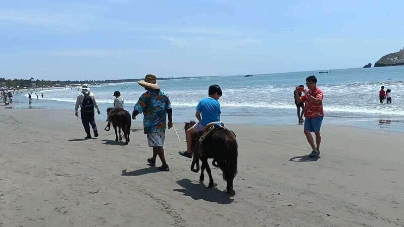 Beach Club All Inclusive: Horse Ride Water Sports Food Drink - FAQ