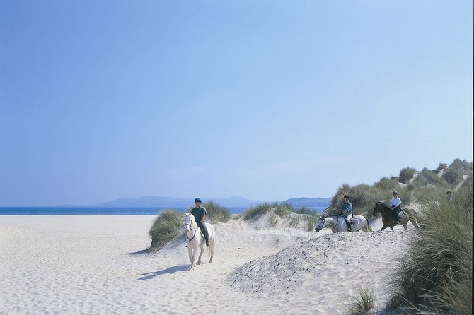 Beach & Countryside Horse Riding Outside Westport. Guided. 1 Hour - Included and Excluded