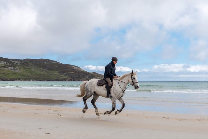 Beach & Countryside Horse Riding Outside Westport. Guided. 1 Hour - Health Restrictions