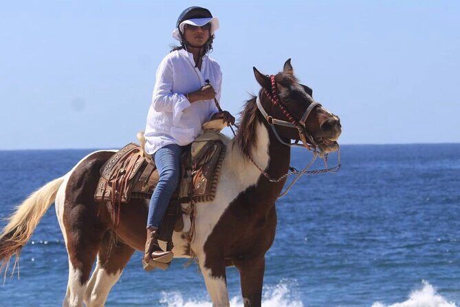 Beach & Desert Horseback Tour - Discovering the Beach & Desert Horseback Tour in Cabo San Lucas