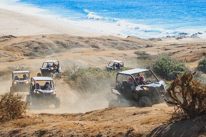 Beach & Desert UTV Tour in Cabo - Tequila Tasting and Local Flavors