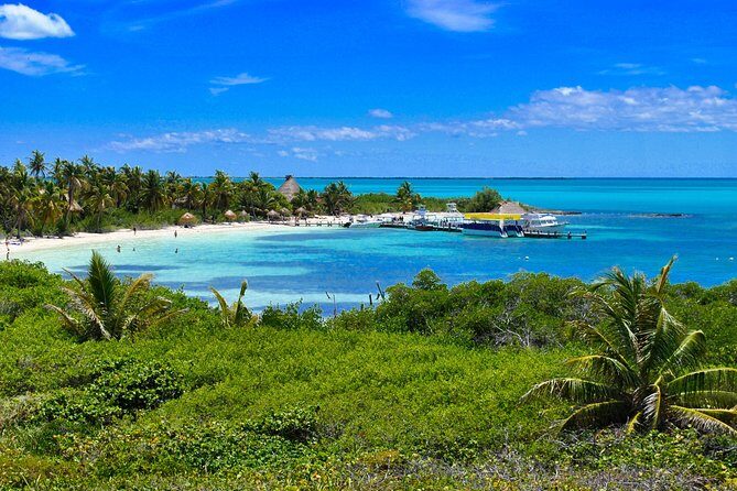 Beach Escape: Isla Contoy and Isla Mujeres with Snorkeling. - An In-Depth Look at the Tour Experience