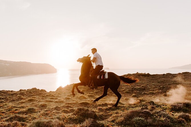 Beach Gallop - Horse Riding Safari for Experienced Riders - Meeting and Check-in