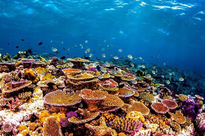 Beach Holiday in Samal Islands (8 Hours) - An In-Depth Look at the Samal Island Tour