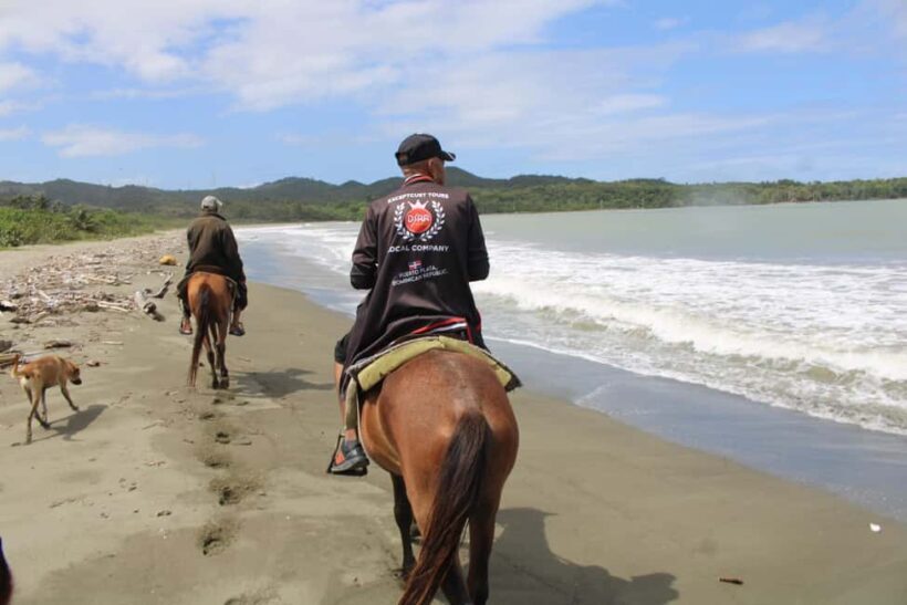 Beach horse back riding with countryside - Introduction to the Experience