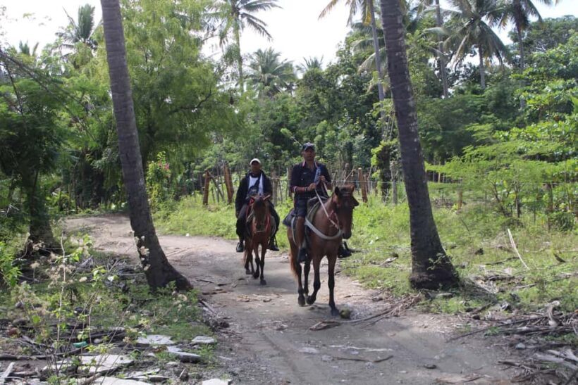 Beach horse back riding with countryside - Pricing & Value