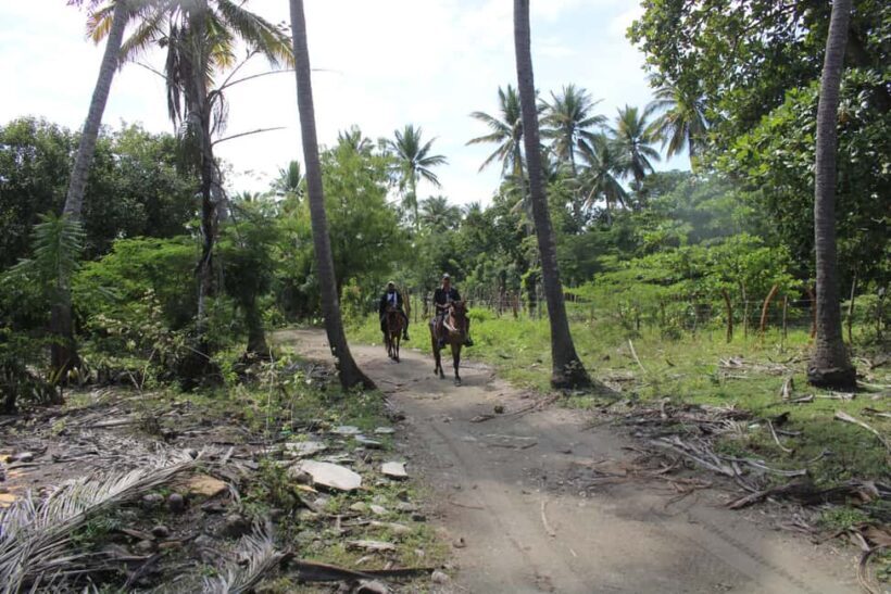 Beach horse back riding with countryside - Who Will Love This Tour?