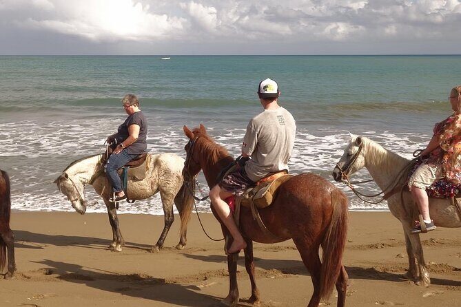 Beach Horse Ride with countryside amber cove & Taino Bay - The Horses and Guides: The Heart of the Experience
