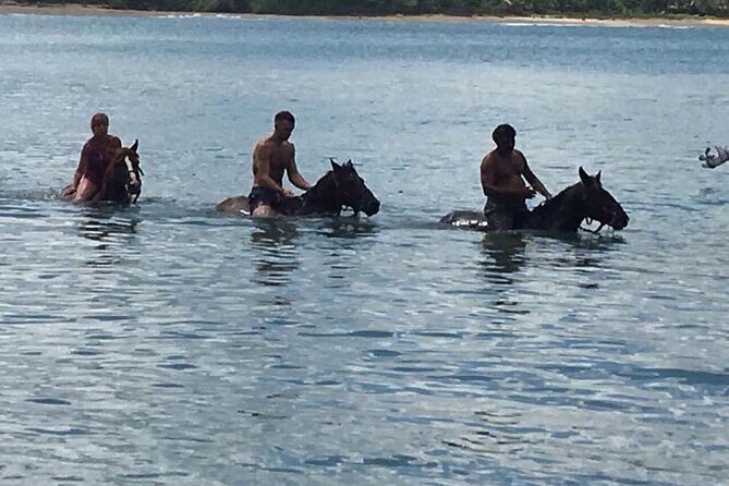 Beach Horse Ride with countryside amber cove & Taino Bay - What Makes This Tour Stand Out