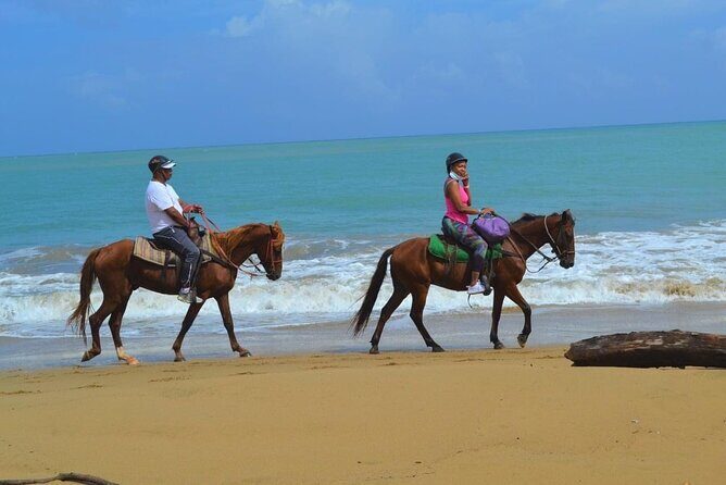 Beach Horse Ride with countryside amber cove & Taino Bay - The Sum Up