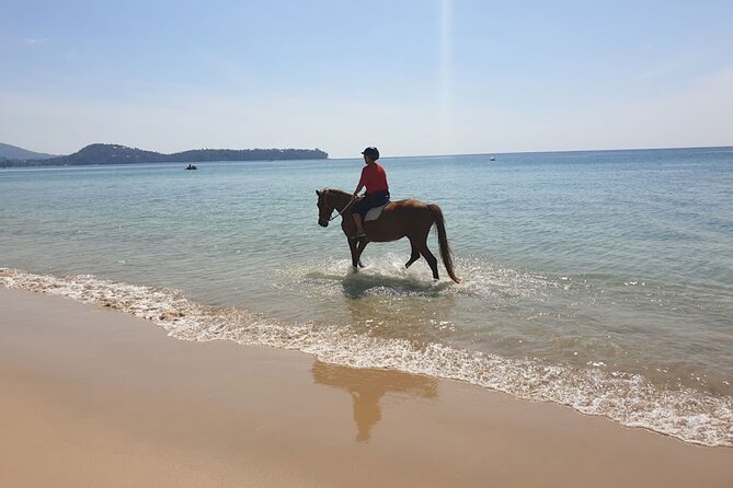 Beach Horse Riding Activity in Phuket - The Sum Up