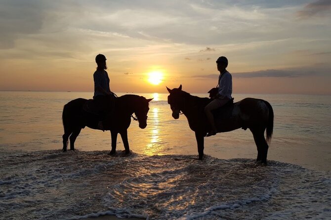 Beach Horse Riding At Sunset In Phuket - Who Should Consider This Tour?
