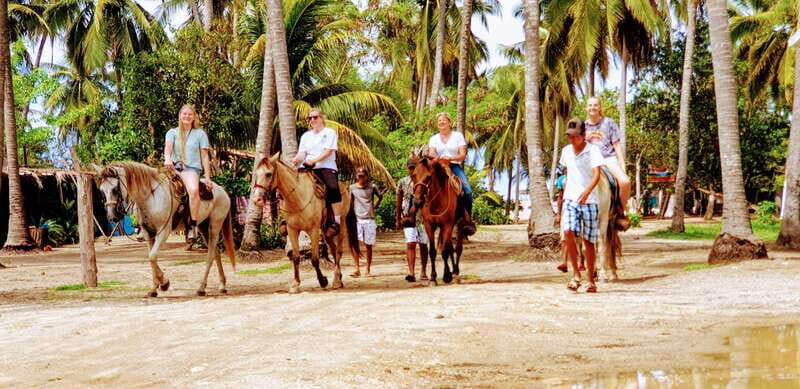 .Beach Horse Riding Turtle Release Crocodile Farm Experience - FAQ