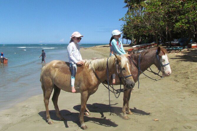 Beach Horseback Ride Tour in Puerto Plata - Scenic & Fun for All - FAQ