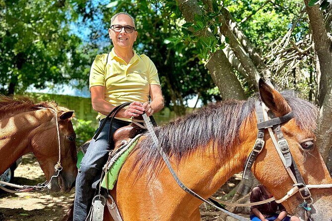 Beach Horseback Riding Adventure in Punta Cana - The Itinerary and What to Expect