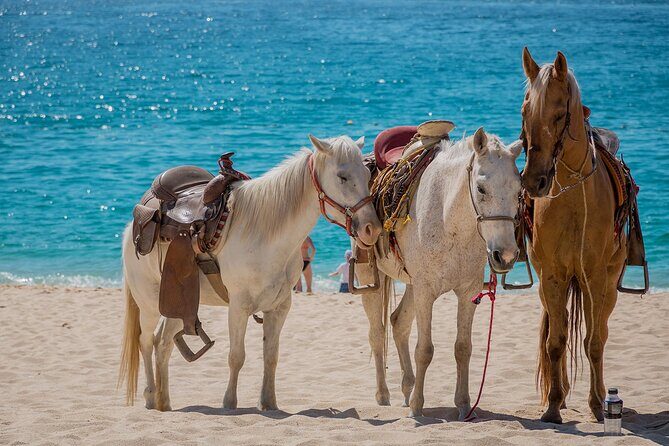 Beach Horseback Riding Adventure in Punta Cana - Final Thoughts: Is It Worth It?