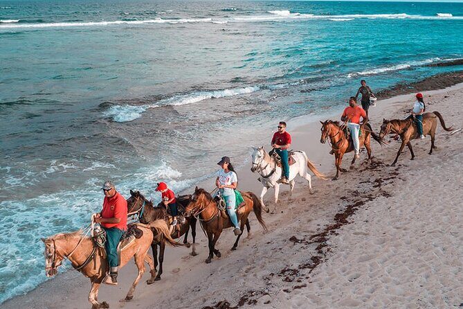 Beach Horseback Riding Adventure in Punta Cana - FAQ