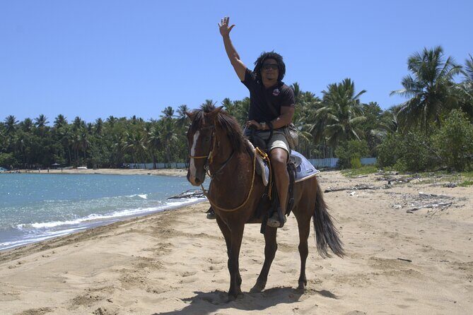 Beach Horseback Riding and Swim Horse in Puerto Plata - The Beach Restaurant and Refreshments