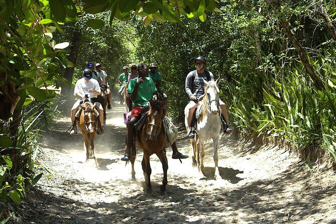 Beach Horseback Riding and Swim Horse in Puerto Plata - What the Reviews Say