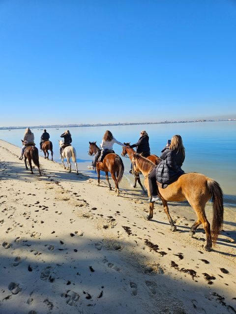 Beach Horseback Riding in GROUP + Photo Report - PDT - How This Tour Fits Your Travel Plans
