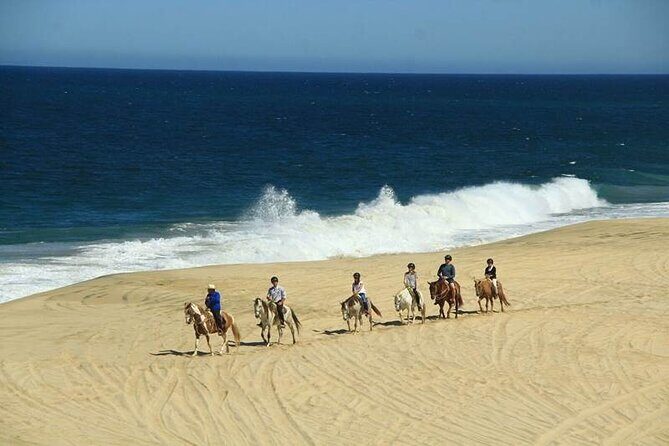 Beach Horseback Riding in Los Cabos - Exploring the Los Cabos Beach Horseback Riding Tour