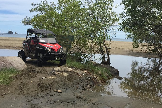Beach-mountain & Sloth Refuge Buggy Tour - Encounter With Diverse Wildlife