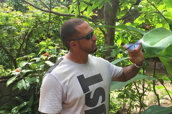 Beach-mountain & Sloth Refuge Buggy Tour - Accessibility and Physical Requirements