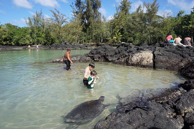 Beach Snorkel - Sea Turtle and Black Sand Lagoon - FAQs