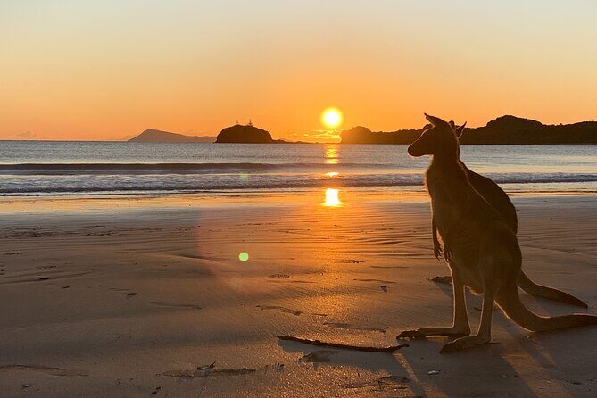 Beach Sunrise with the Wallabies - Introduction