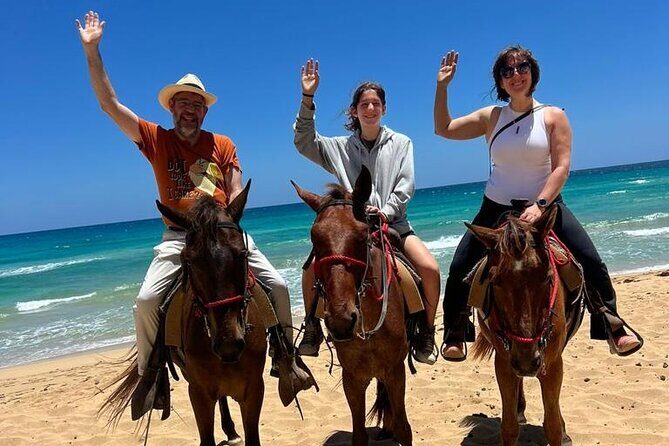 Beach Sunset Horseback Ride in Punta Cana - A Close Look at the Experience