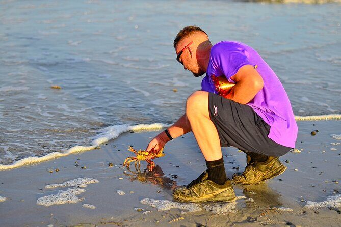 Beach Sunset on Horse Riding in Punta Cana(Private Option) - FAQ
