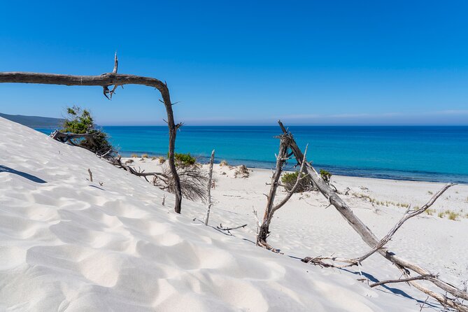 Beach Tour Porto Pino and Piscinnì - Who Will Love This Tour?
