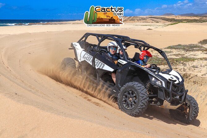 Beach UTV Adventure with Free Camel & Horseback Ride - How the Tour Unfolds