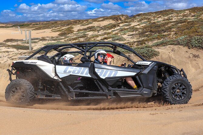 Beach UTV Adventure with Free Camel & Horseback Ride - Who Will Love This Tour?