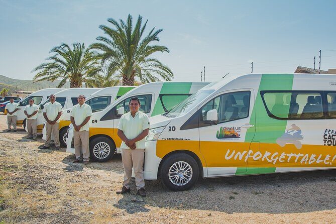 Beach UTV & Camel Ride COMBO in Cabo by Cactus Tours Park - Introduction: What This Tour Offers