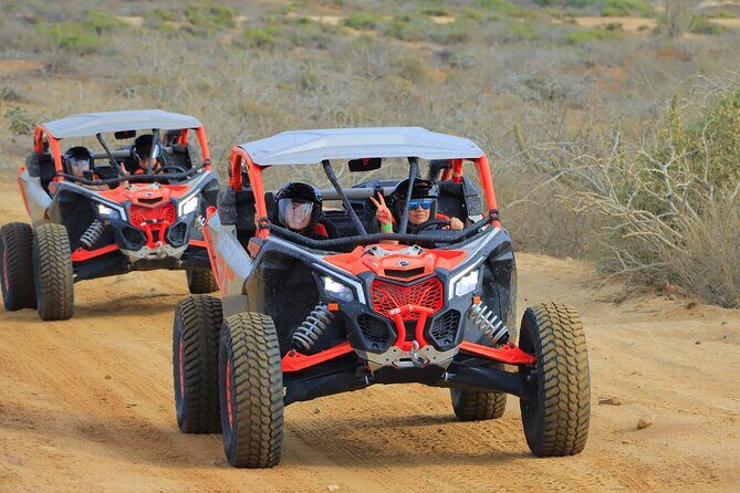 Beach UTV & Camel Ride COMBO in Cabo by Cactus Tours Park - Authentic Experiences and Traveler Feedback