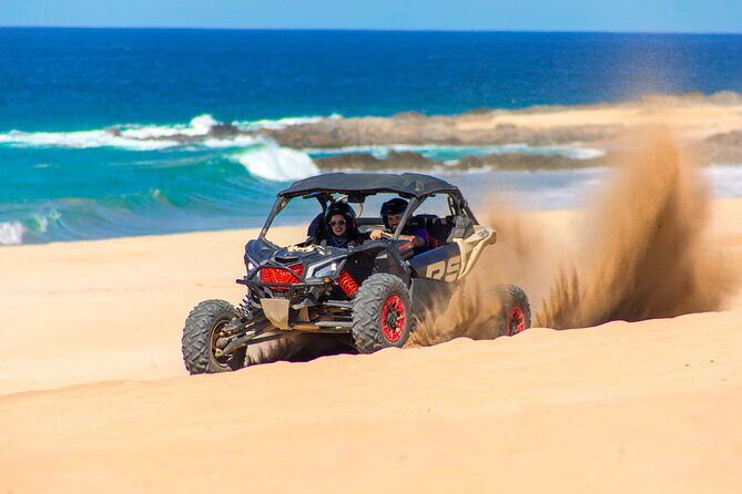 Beach UTV & Camel Ride COMBO in Cabo by Cactus Tours Park - Who Will Love This Tour?